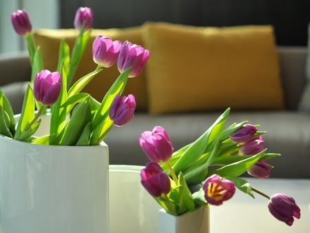 STEVE HOWARD DESIGNS | HOUSTON, TX